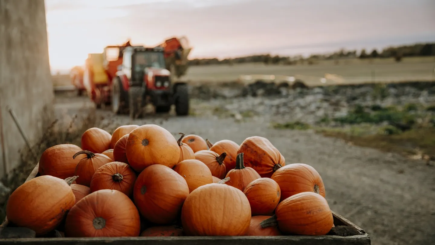 Pumparundan | Öland